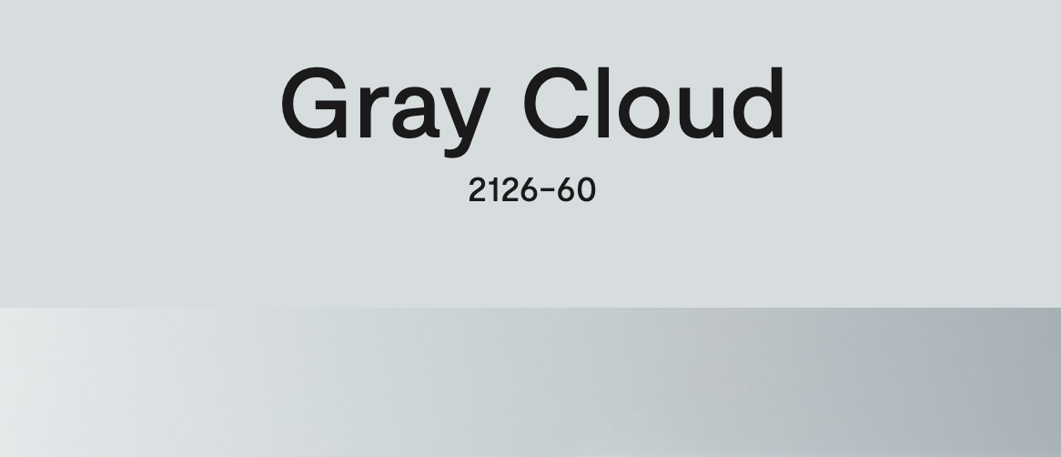 Color Spotlight - Gray - Jerry Enos Painting