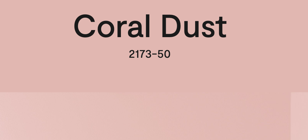 Color Spotlight - Playful Pink - Jerry Enos Painting